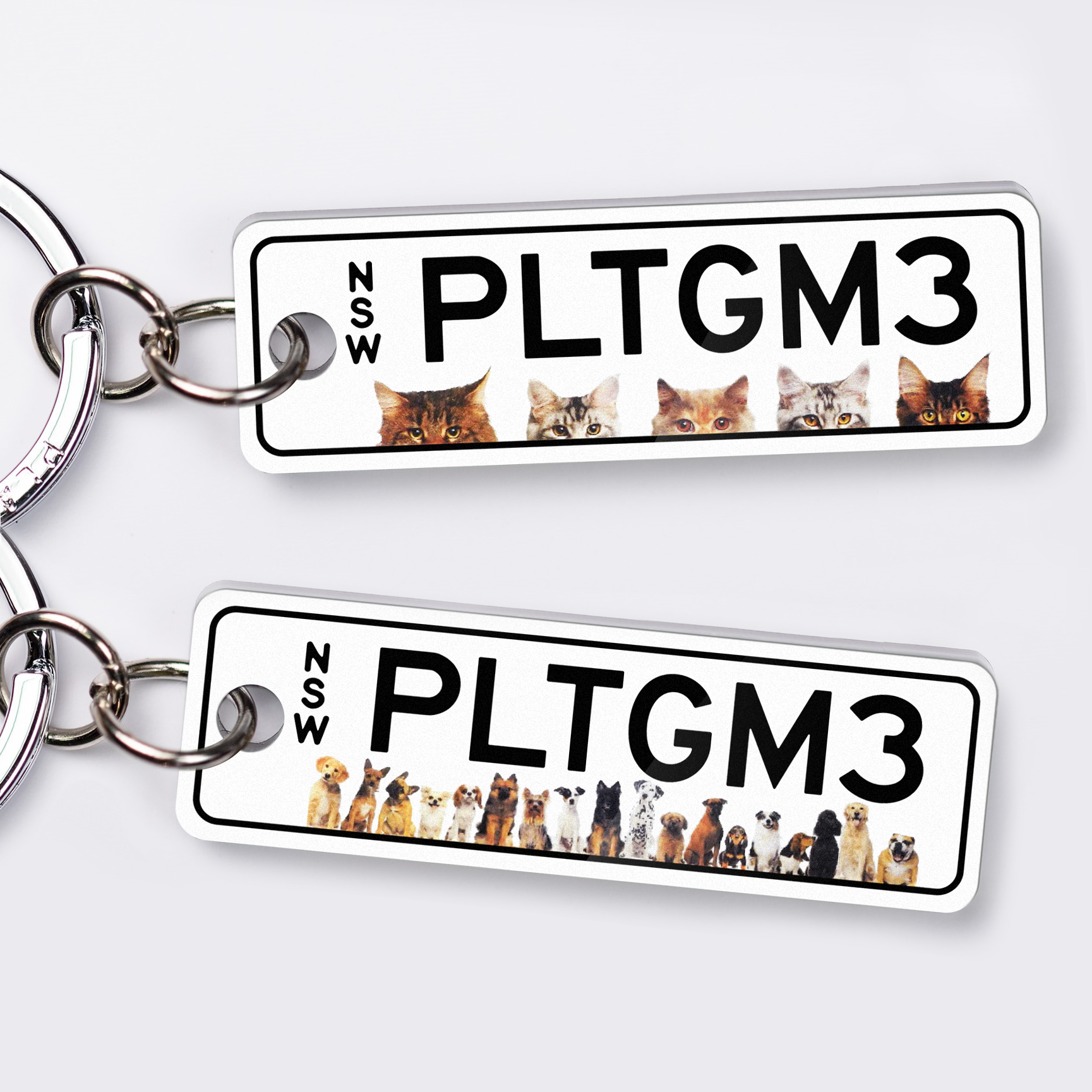 NSW Animals Range Licence Plate Custom Keychain – PlateGame